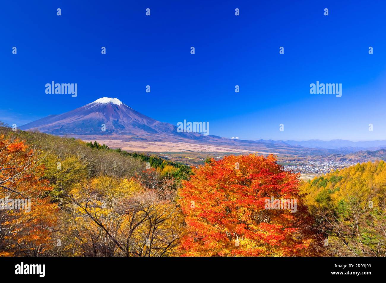 Mt. Fuji and Autumn Leaves of Nijyumagari Pass Stock Photo - Alamy