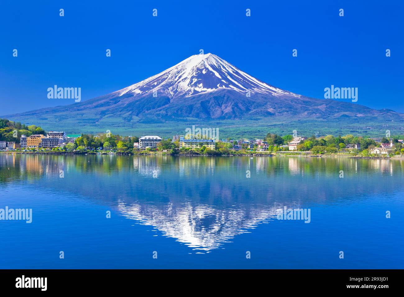 Fuji and fresh green lake Kawaguchi Stock Photo - Alamy