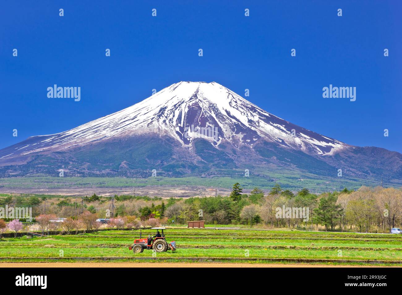 Fuji and a field and a tractor Stock Photo - Alamy