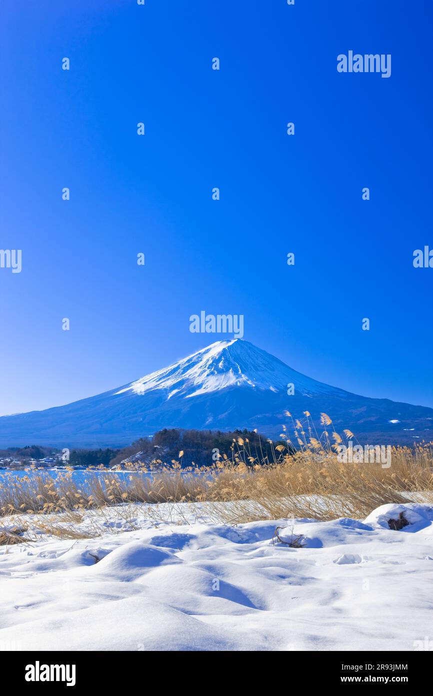 Snowy Landscape of Mount Fuji and Lake Kawaguchi Stock Photo - Alamy