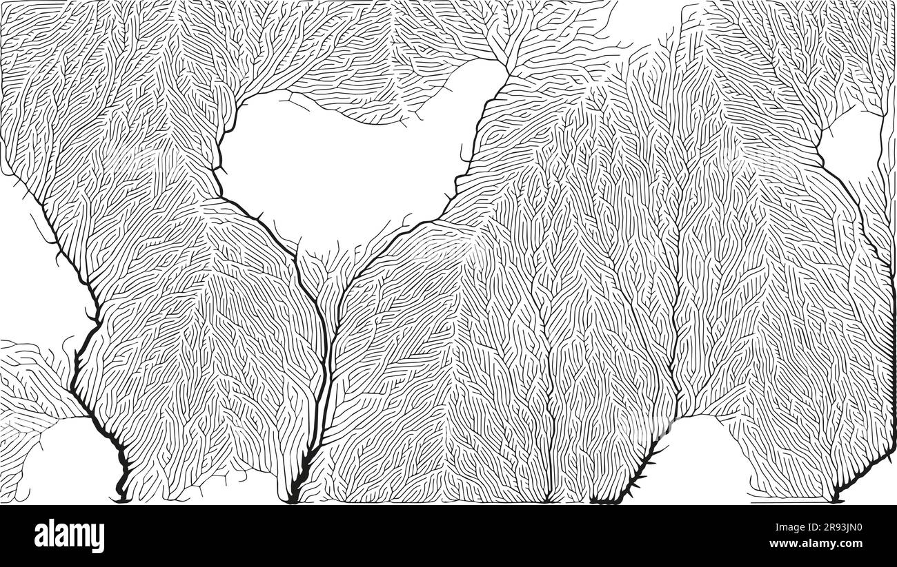 Growth pattern. Generative branching structure. Organic net of vessels texture Stock Vector ...