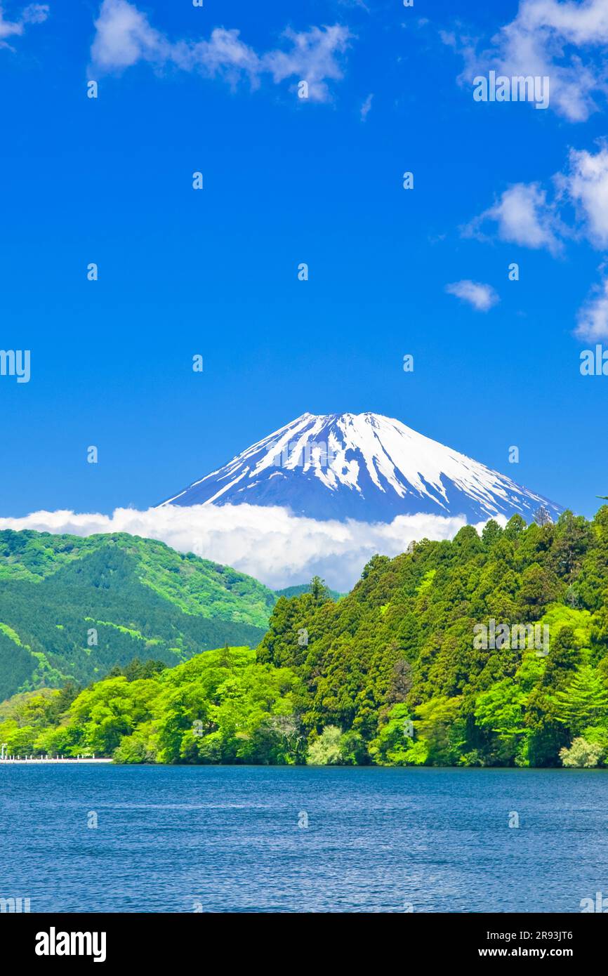 Fuji and Lake Ashinoko Stock Photo - Alamy