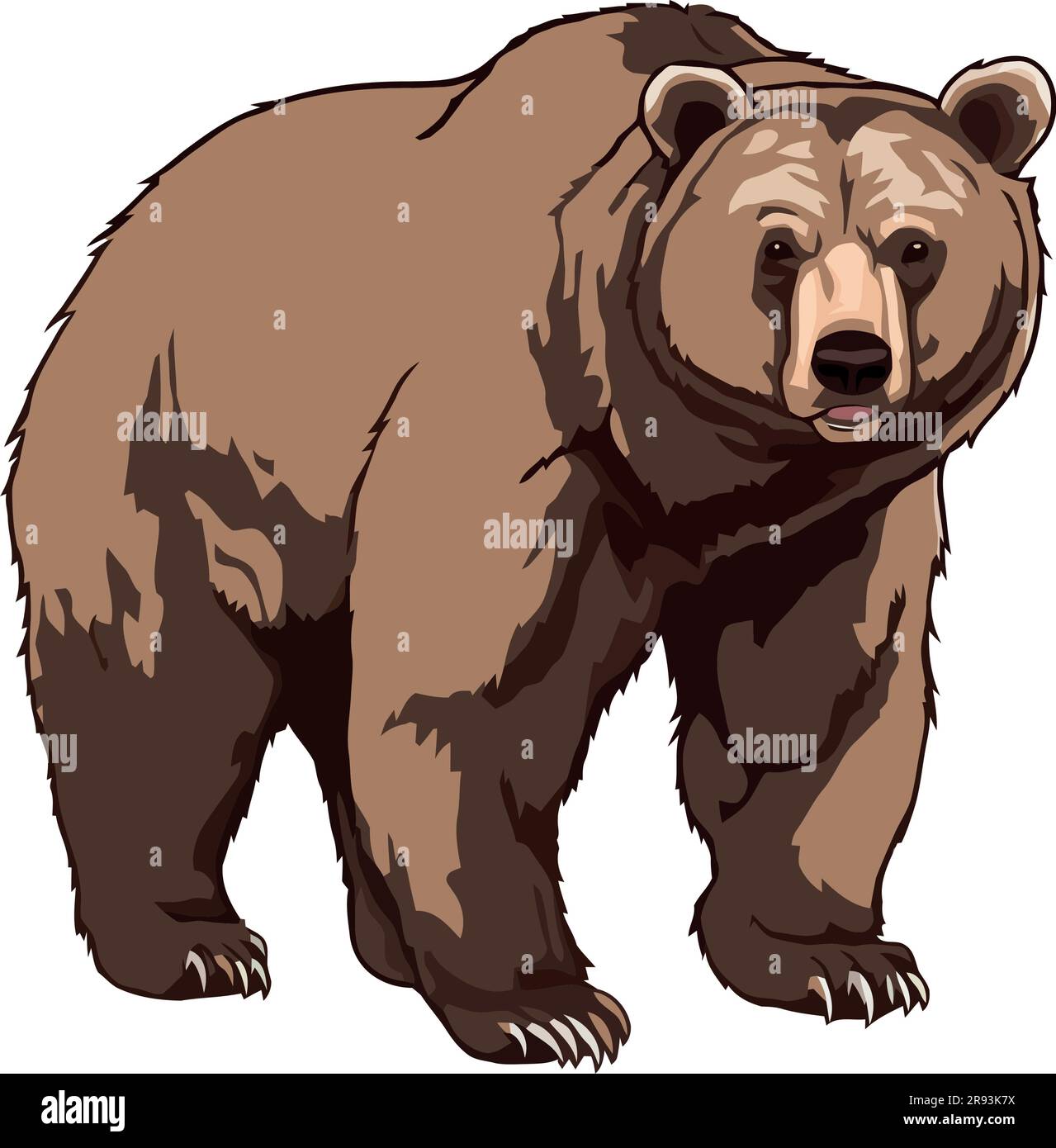 Cute Grizzly Bear Animated
