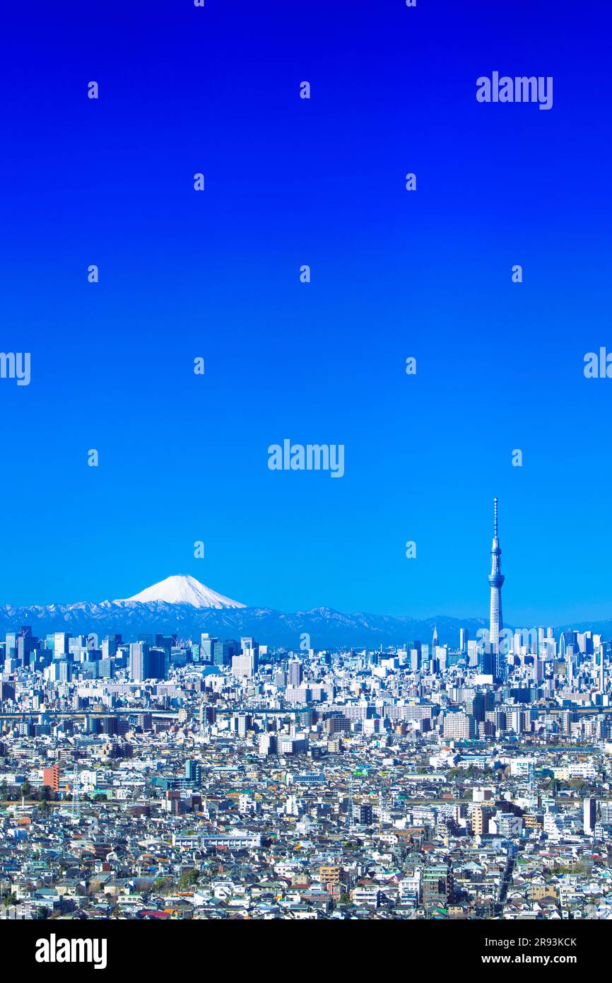 Tokyo sky tree and Mt Fuji Stock Photo - Alamy