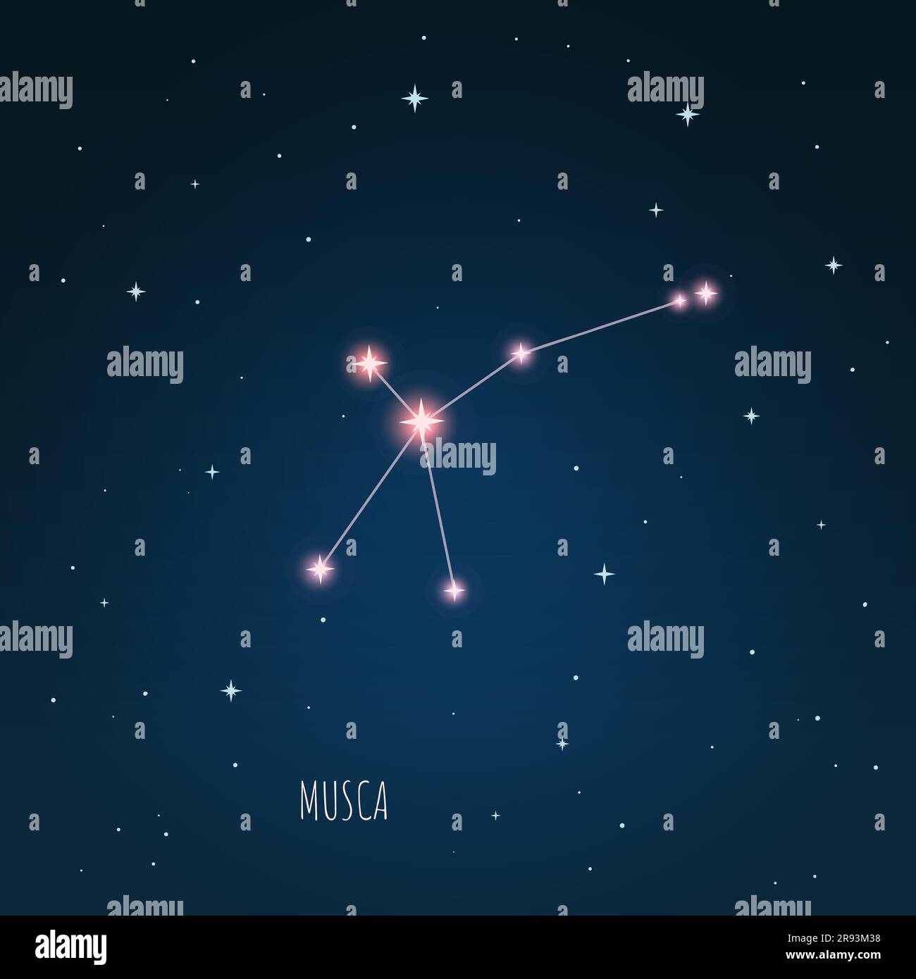Constellation Musca scheme in starry sky Space Stock Vector Image & Art ...