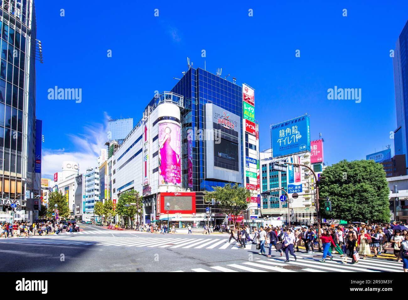 Shibuya Scramble Crossing Stock Photo - Alamy