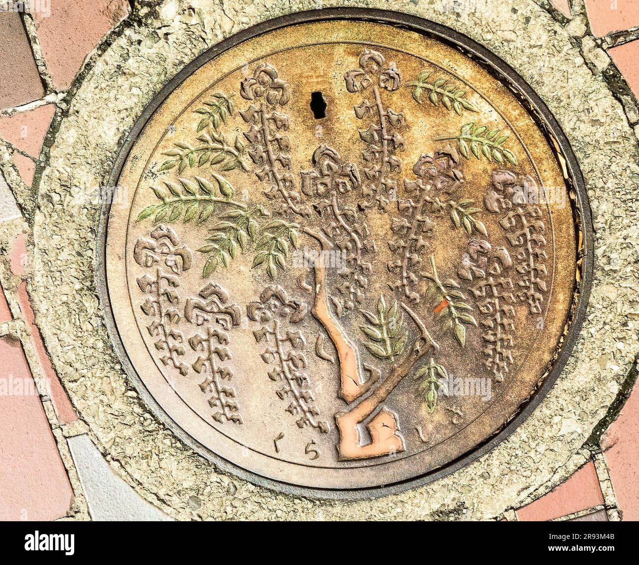 Beautiful manhole (covers Stock Photo - Alamy