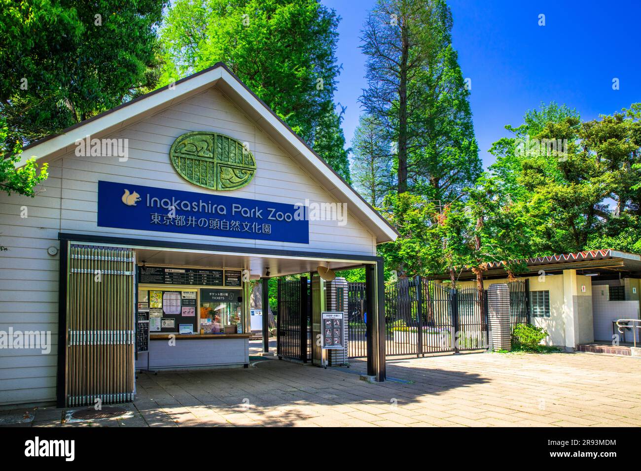 Inokashira Nature Park in fresh green Stock Photo - Alamy