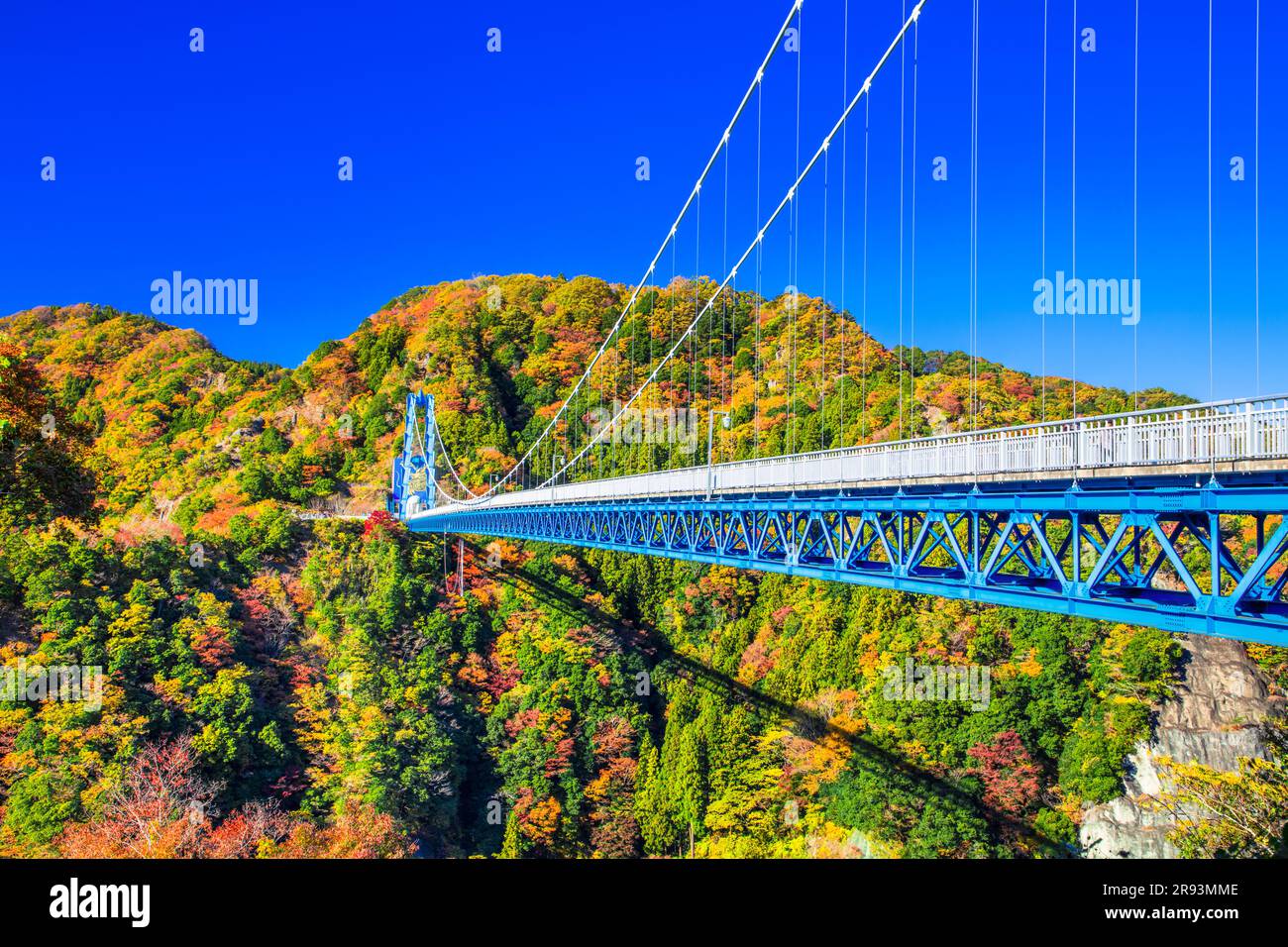 Autumn leaves of Ryujin Suspension Bridge Stock Photo - Alamy