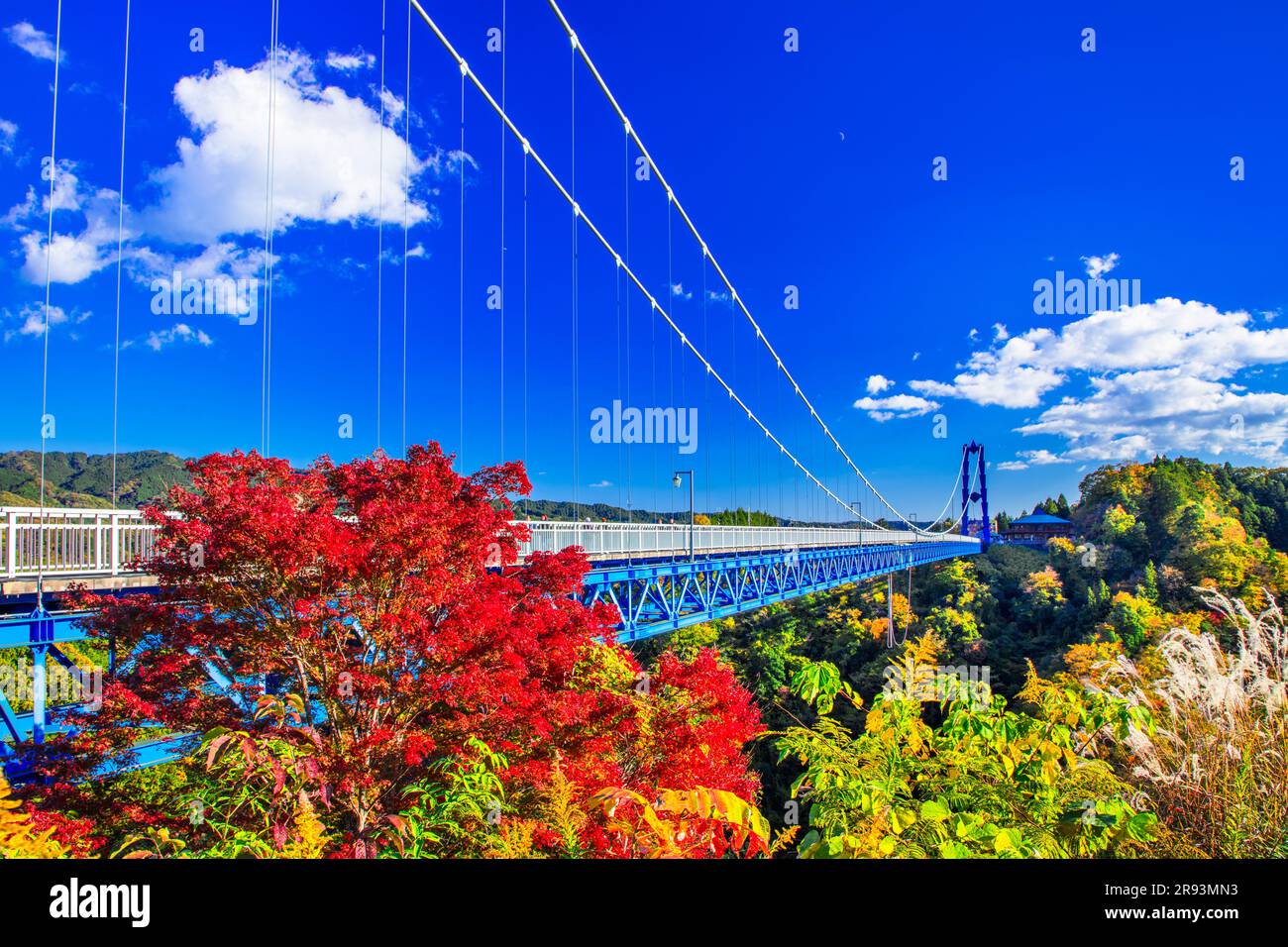 Autumn leaves of Ryujin Suspension Bridge Stock Photo - Alamy