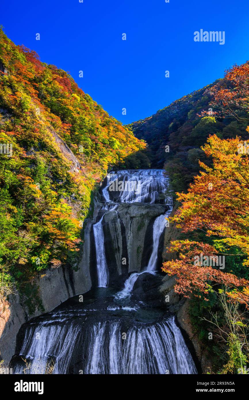 Autumn leaves of Fukuroda Falls Stock Photo - Alamy