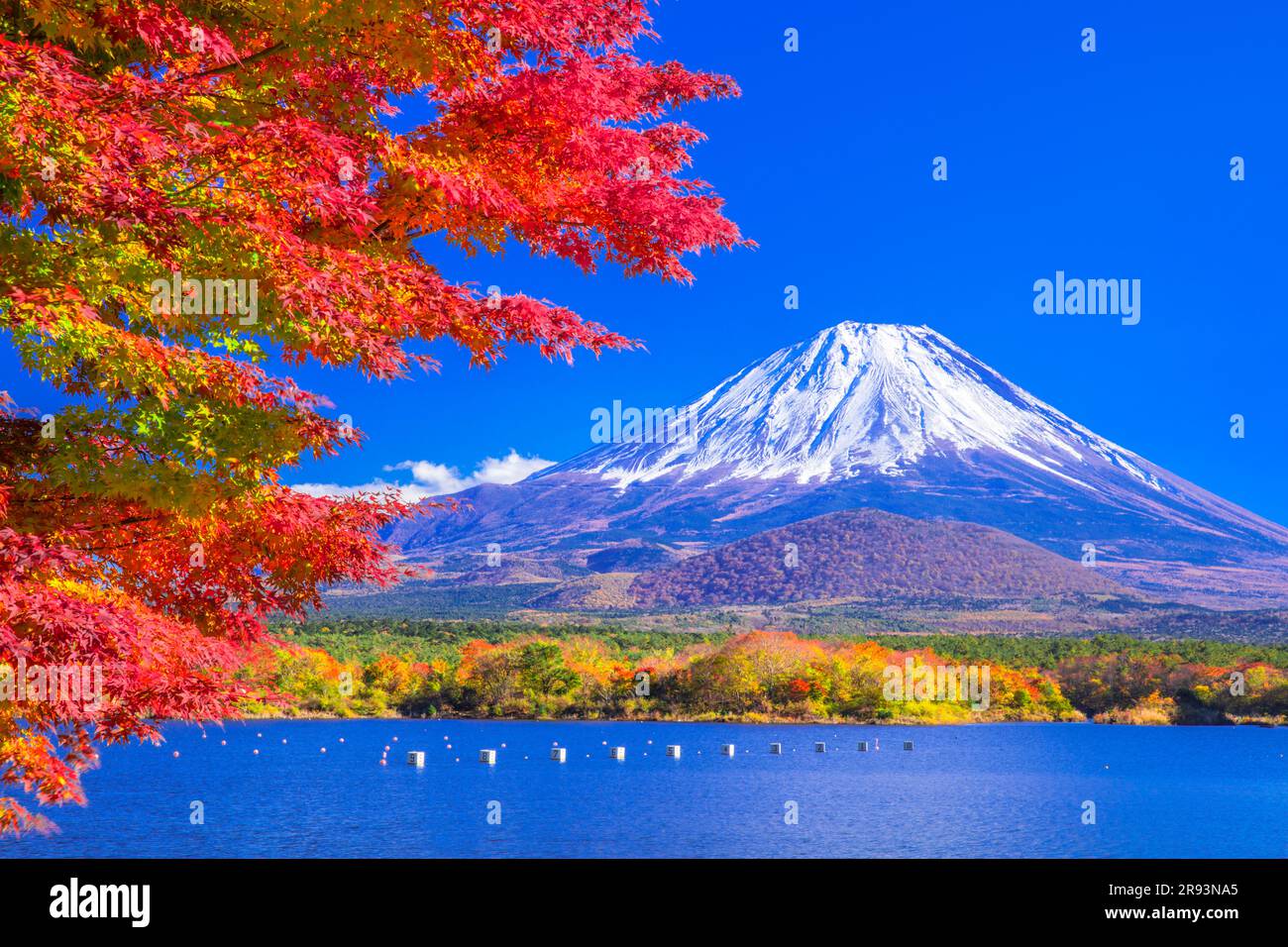 Autumn Leaves at Lake Shojin and Mt Stock Photo - Alamy