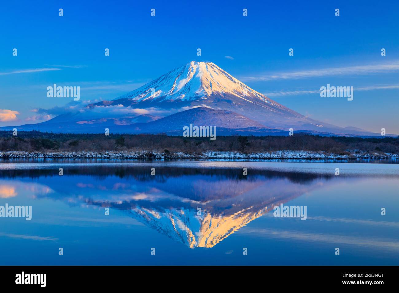 Evening view of Mt. Fuji and Lake Shojin Stock Photo - Alamy