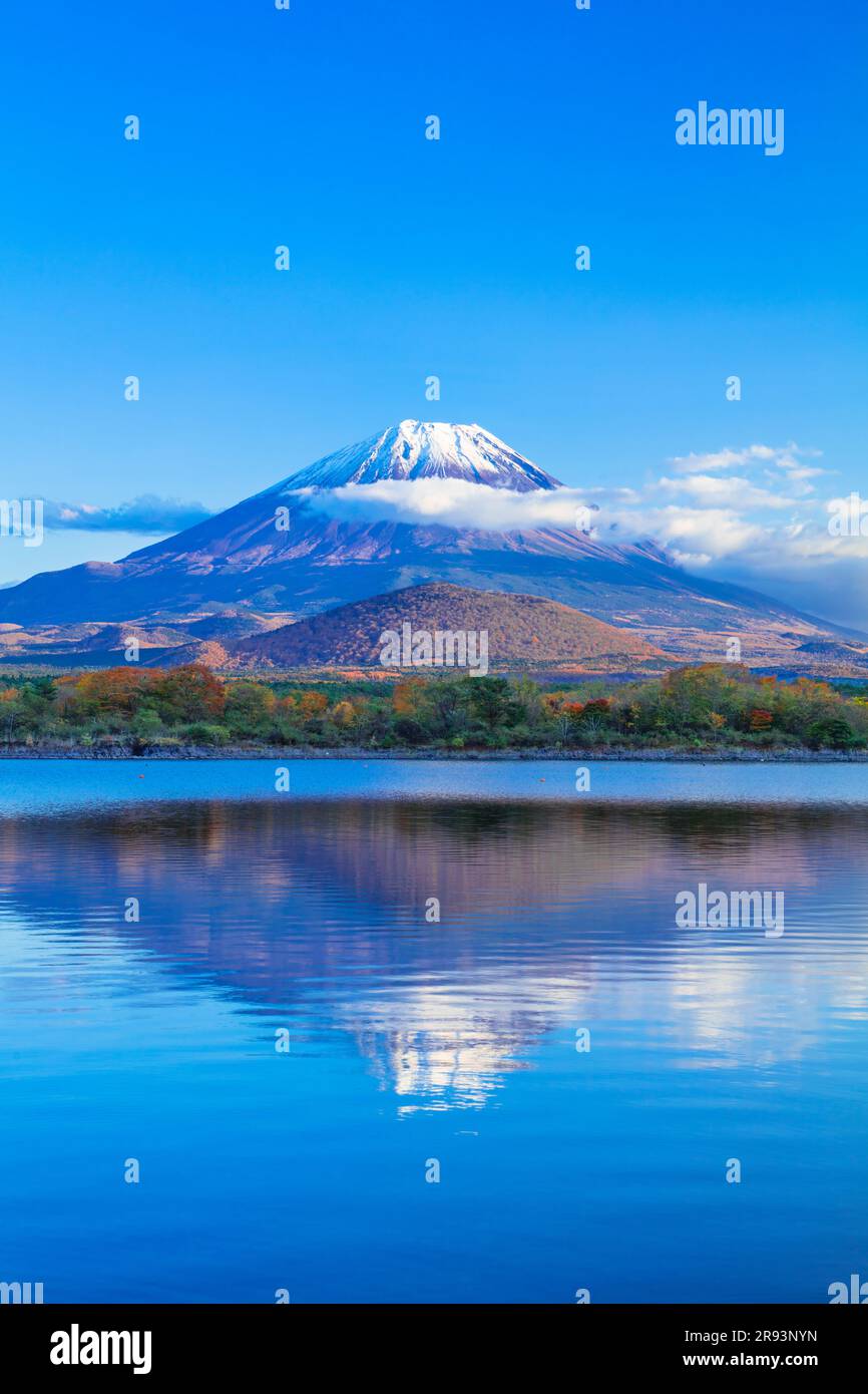 Autumn leaves of Mt.fuji and Lake Shojin Stock Photo - Alamy