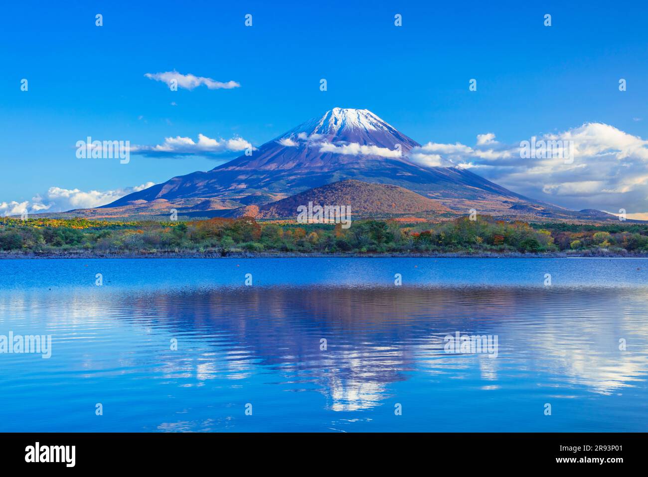 Autumn leaves of Mt.fuji and Lake Shojin Stock Photo - Alamy