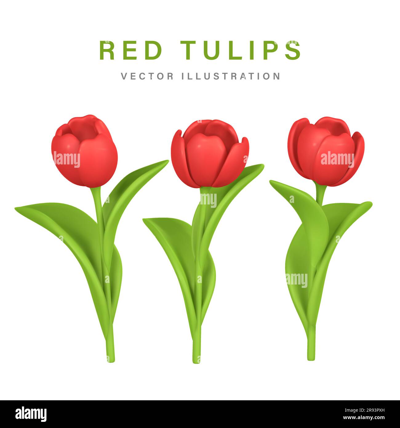 Tulips Png Cartoon