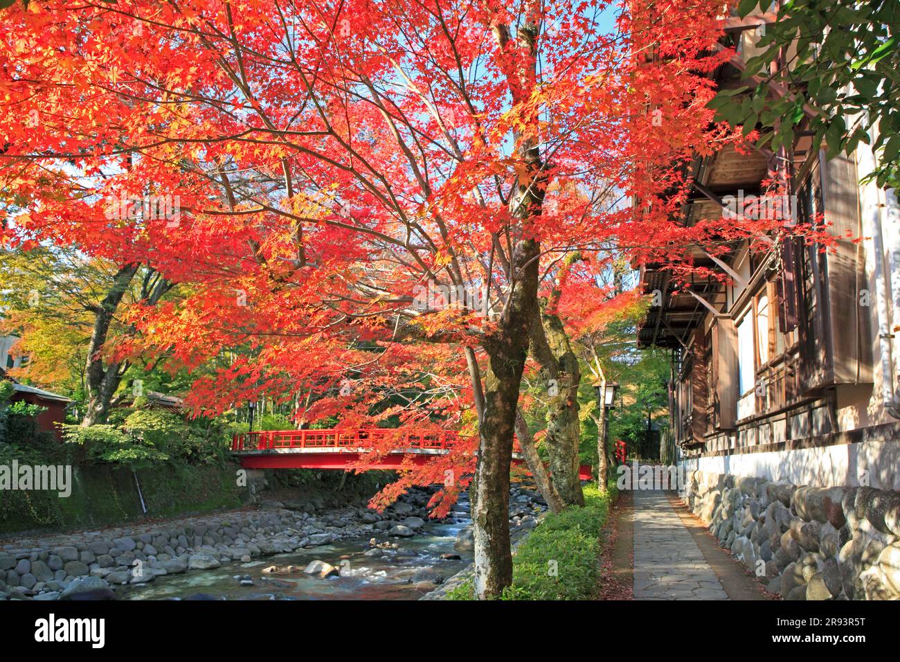 Shuzenji Onsen in Autumn Leaves Stock Photo - Alamy
