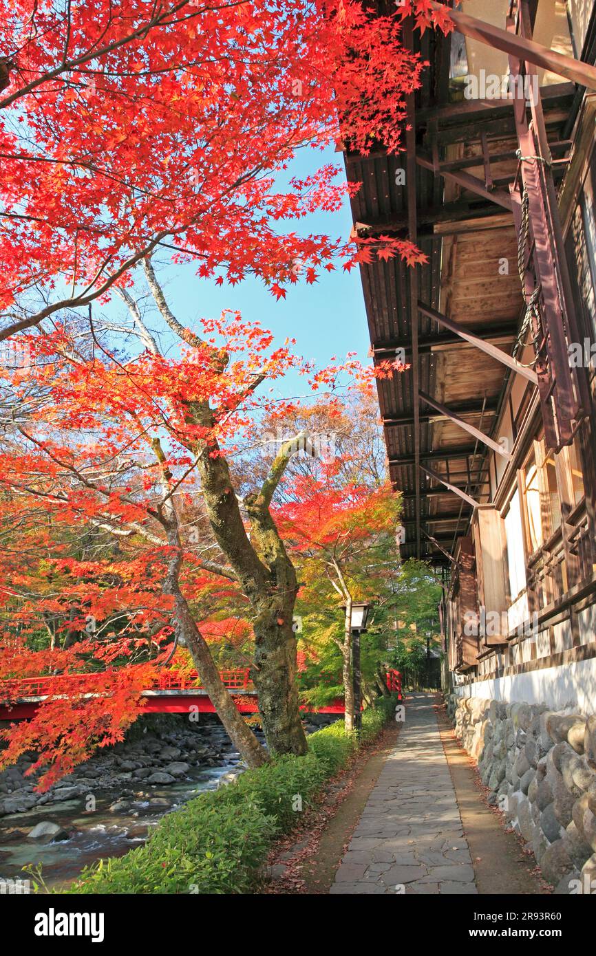 Shuzenji Onsen in Autumn Leaves Stock Photo - Alamy