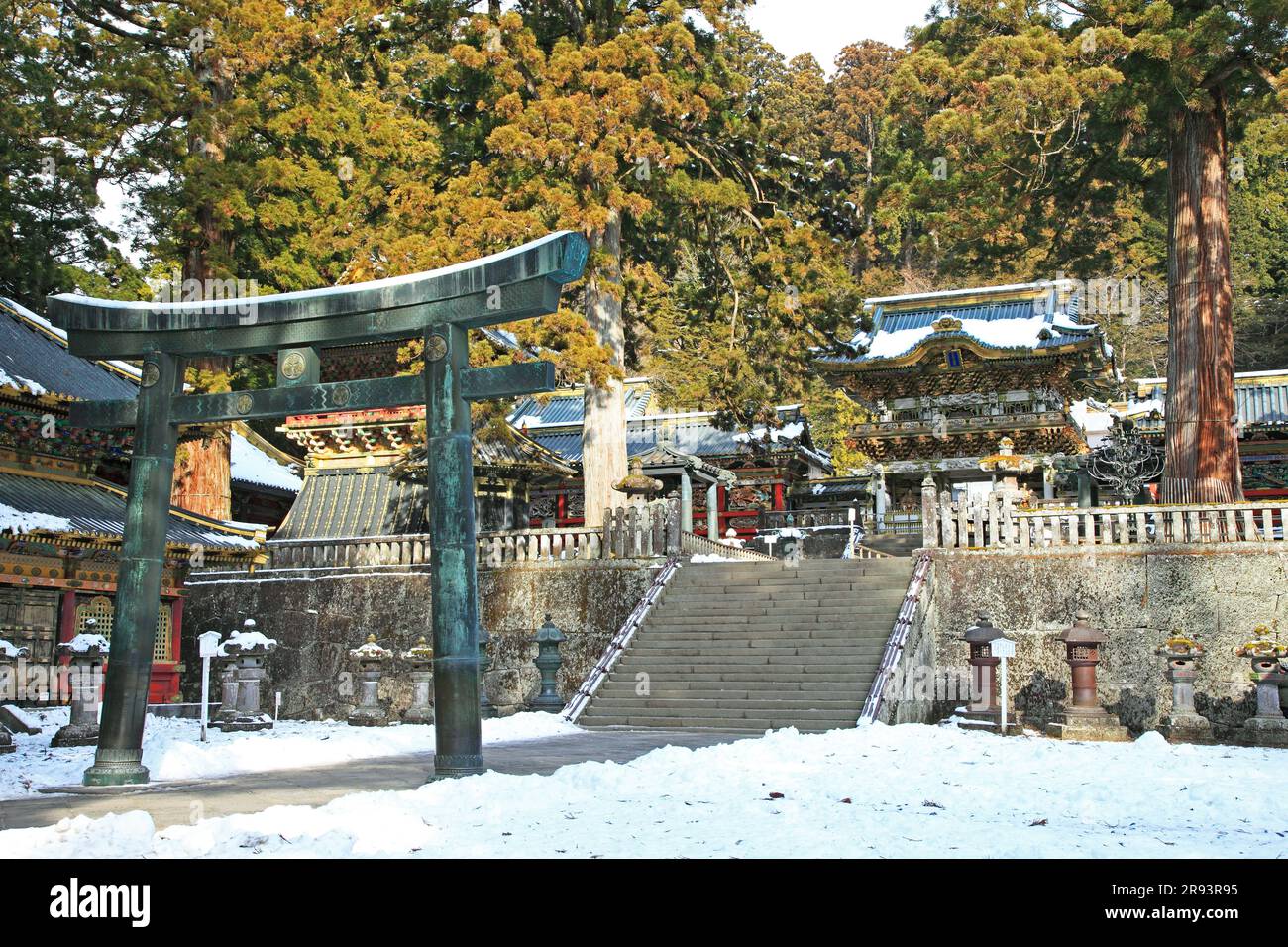 Nikko nikko hi-res stock photography and images - Alamy