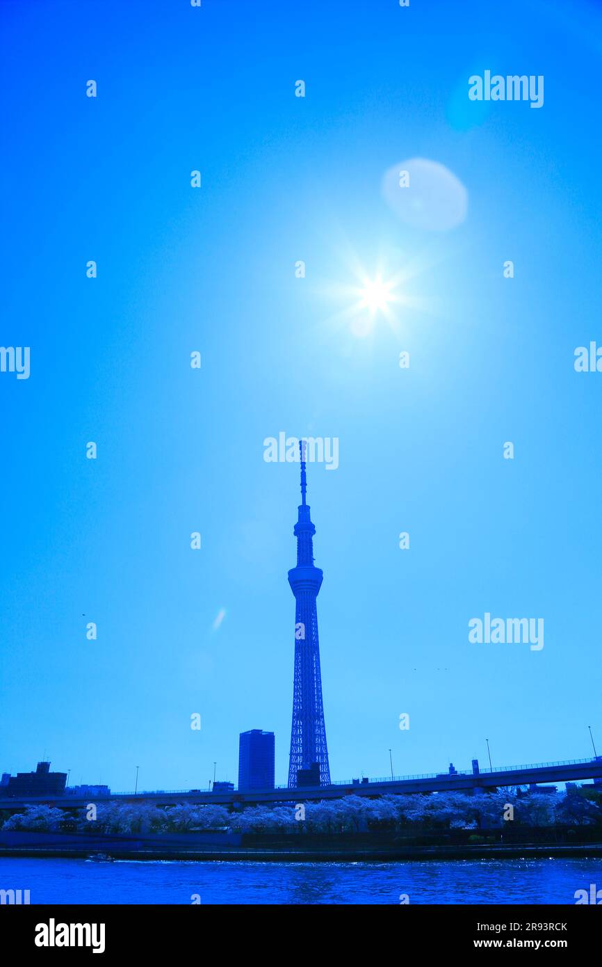 Sun and Tokyo Sky Tree Stock Photo - Alamy