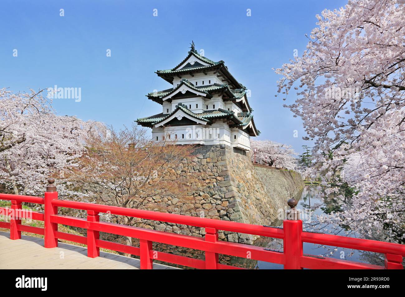 Hirosakijo castle and cherry trees Stock Photo - Alamy