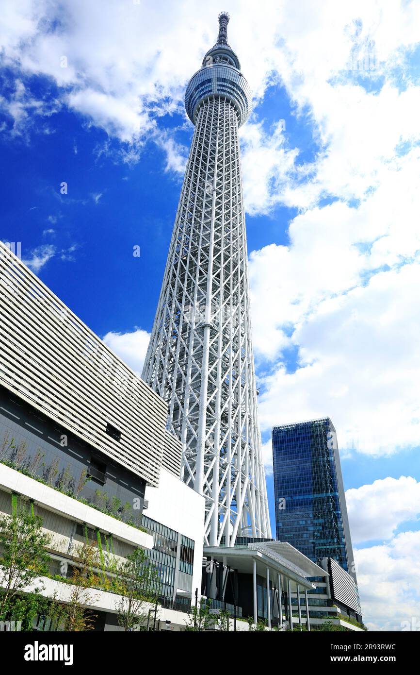 Tokyo Sky Tree Stock Photo - Alamy