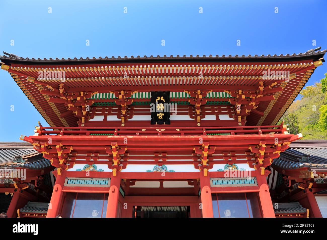 Main Shrine of Tsuruoka Hachimangu Shrine Stock Photo - Alamy