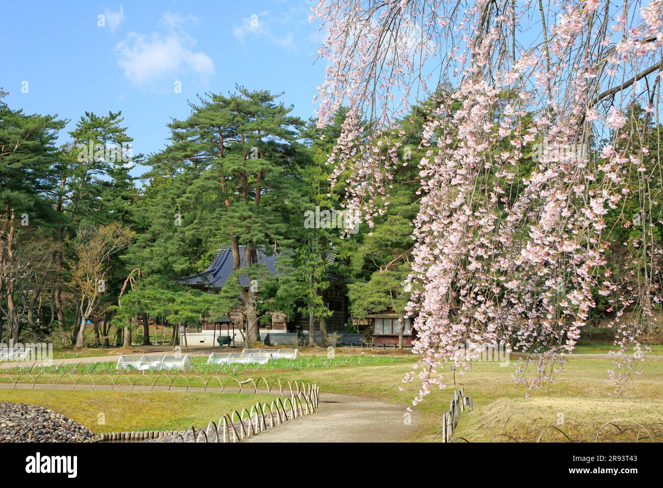 Branch temple hi-res stock photography and images - Alamy