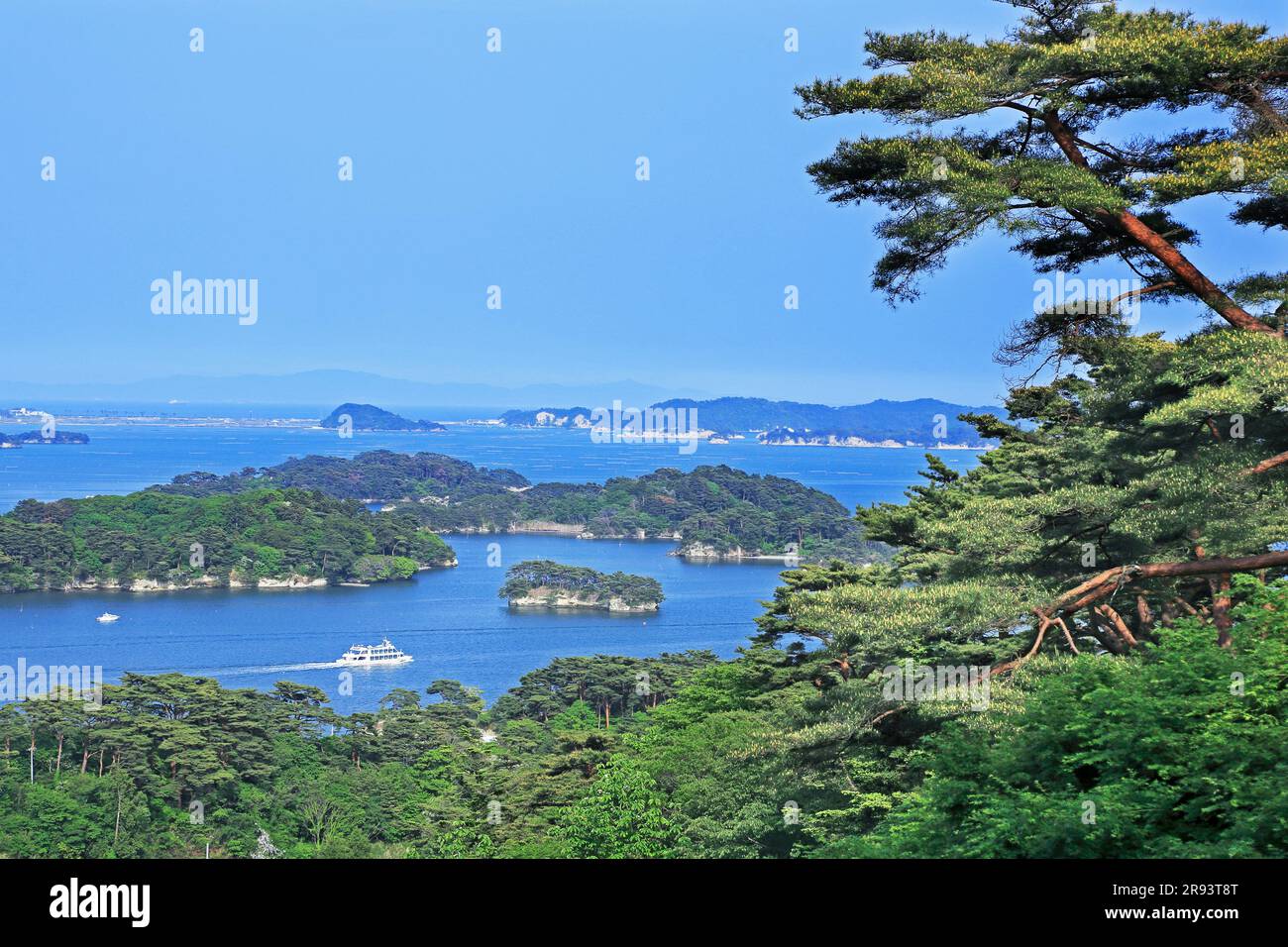 Pine tree of saigyo modoshi hi-res stock photography and images - Alamy