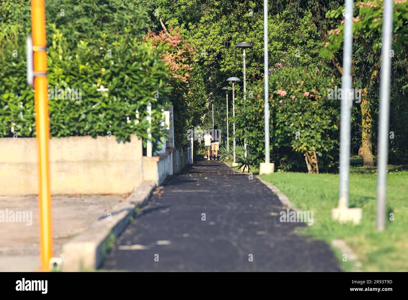 People walking on a paved path next to a group of houses in a park in ...
