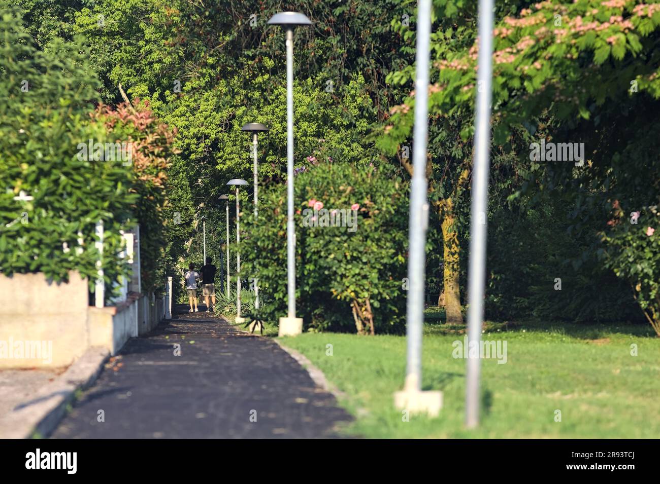 People walking on a paved path next to a group of houses in a park in ...