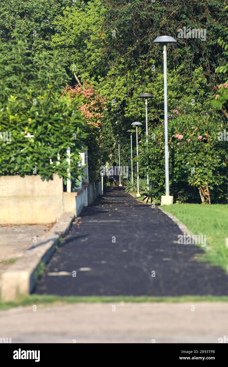 People walking on a paved path next to a group of houses in a park in ...