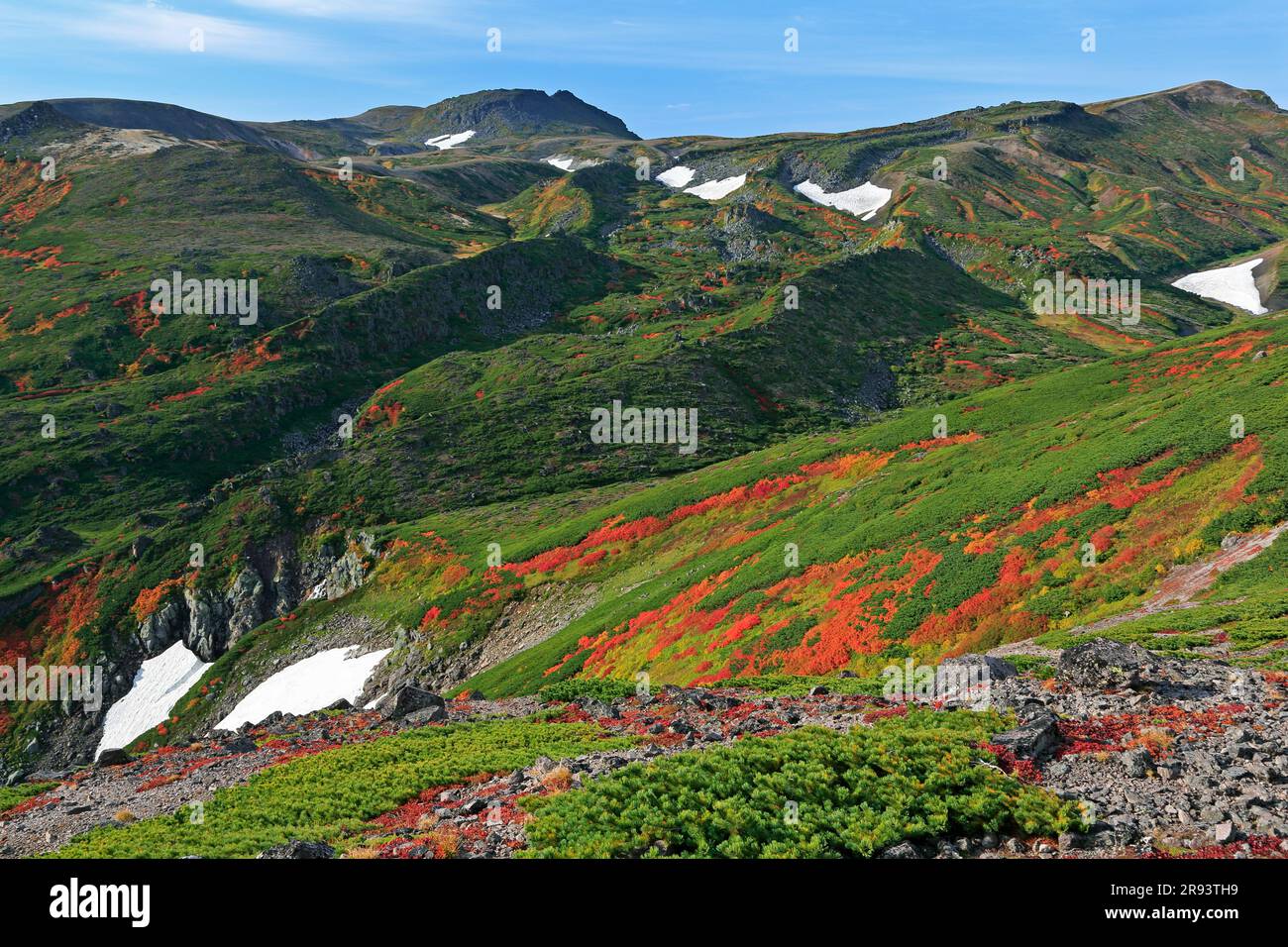 View of magnificent autumn foliage and Mount Hakuundake from Mount ...