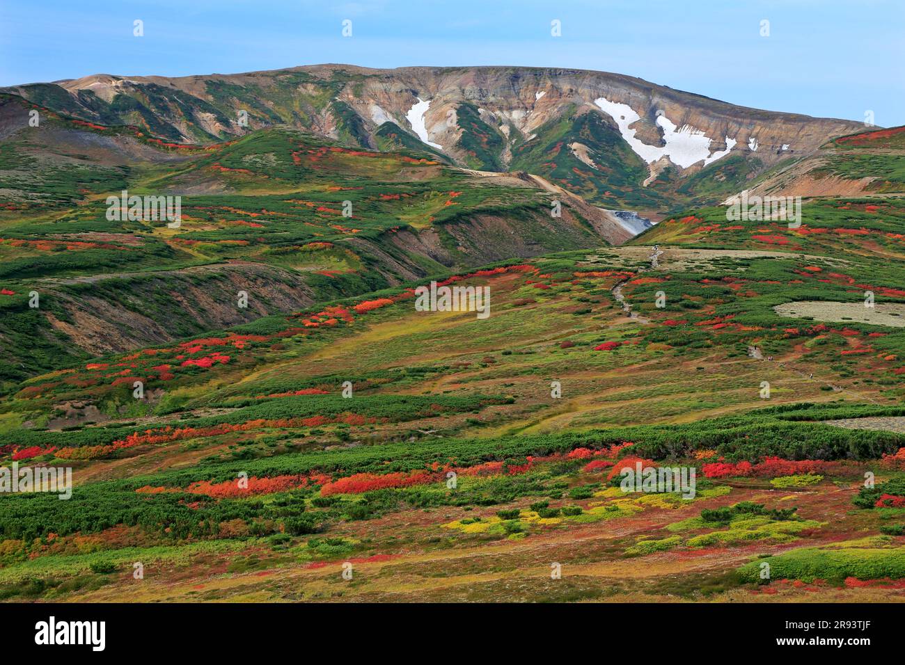 View of autumn foliage covering Mount Mamiyadake and the Kumonotaira ...