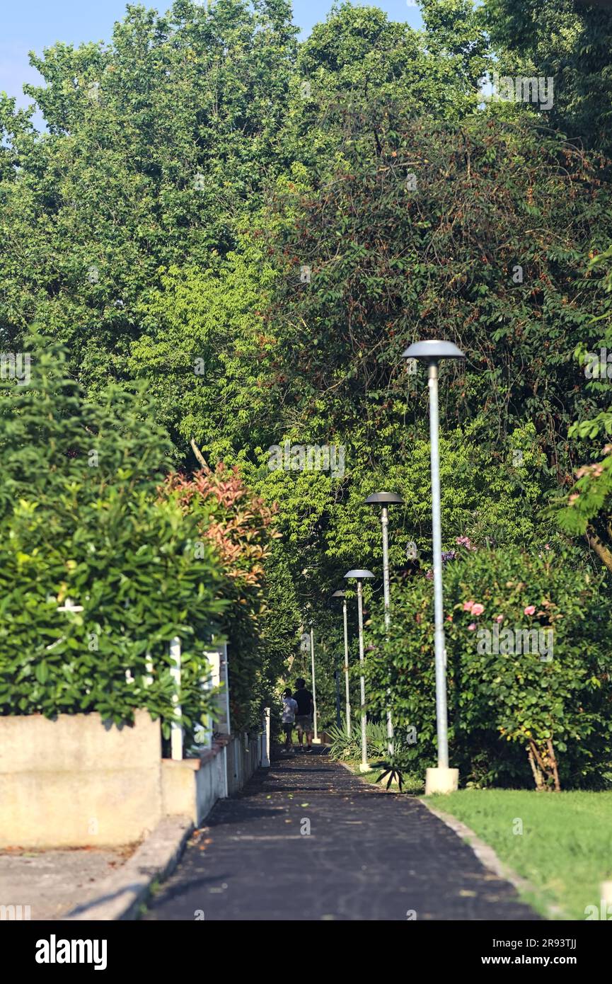People walking on a paved path next to a group of houses in a park in ...