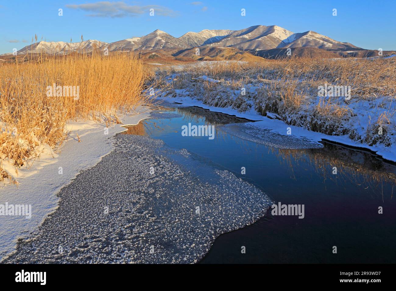 Reed of Hyakuninhama of Erimo Cape and Mount Toyonitake Stock Photo - Alamy