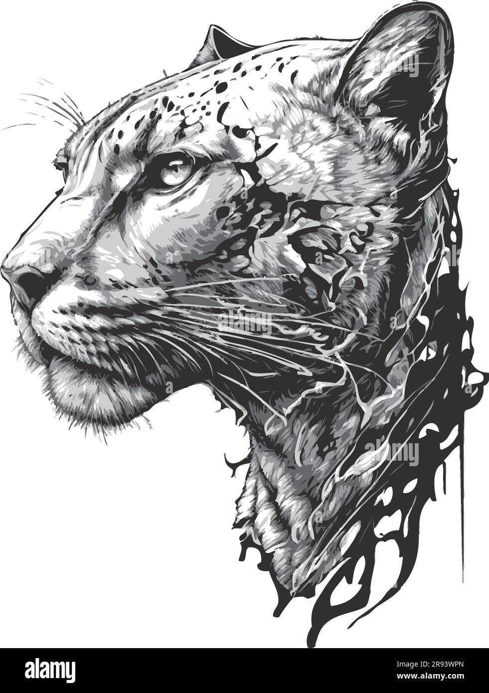 Panther Head Drawings