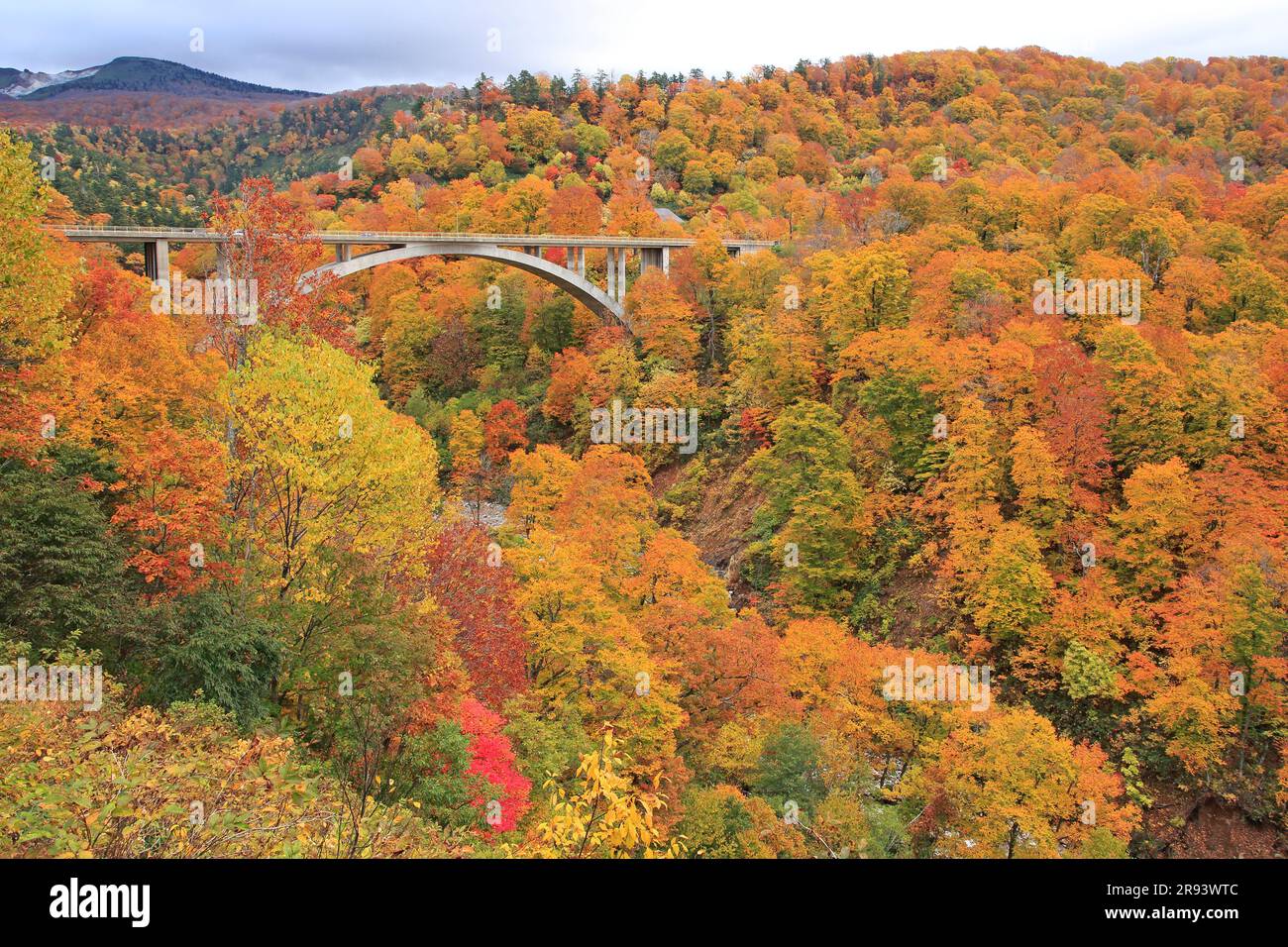 Tamagawa Onsen of Autumn Leaves Stock Photo - Alamy