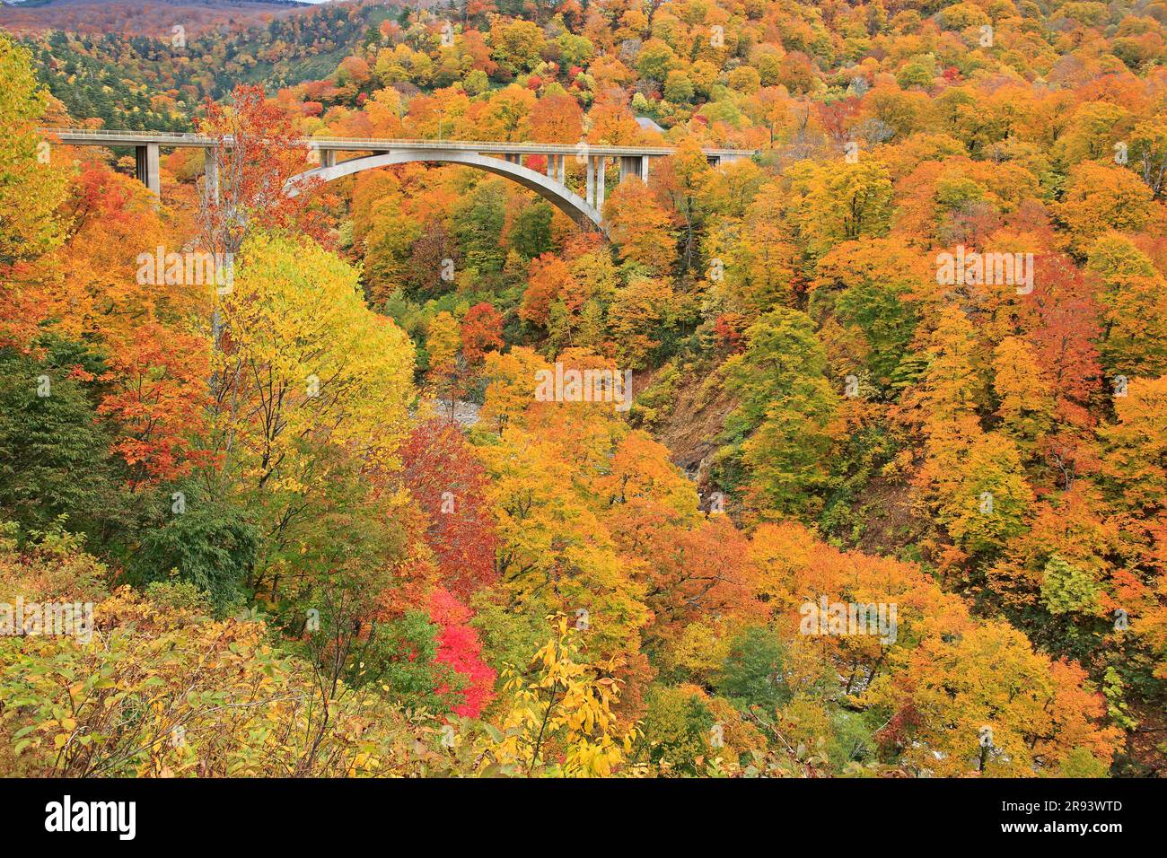 Tamagawa Onsen of Autumn Leaves Stock Photo - Alamy
