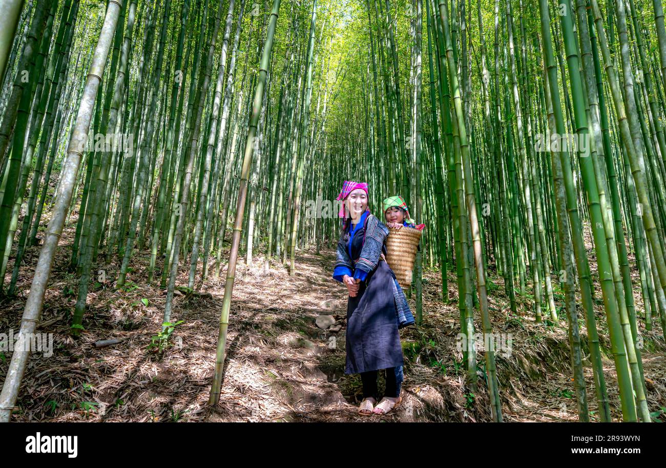 Ethnic minority woman carry their children in a rattan basket in a ...