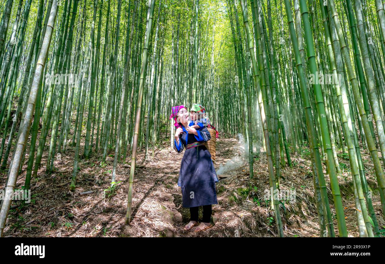 Ethnic minority woman carry their children in a rattan basket in a ...