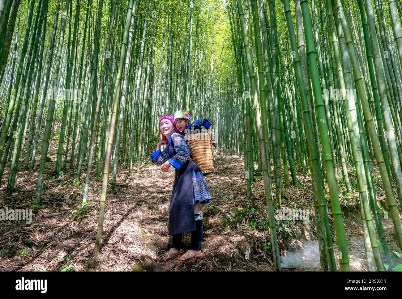 Ethnic minority woman carry their children in a rattan basket in a ...