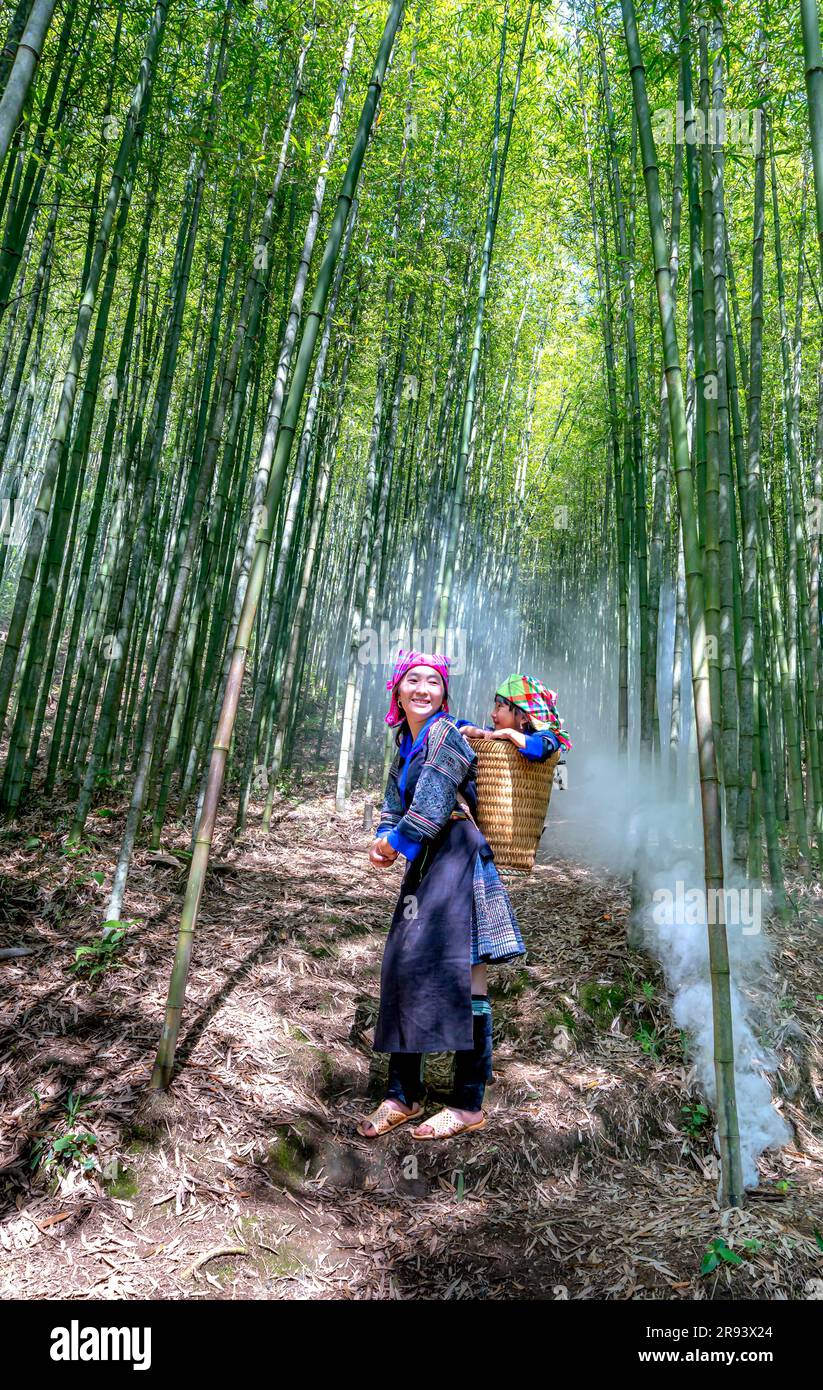 Ethnic minority woman carry their children in a rattan basket in a ...
