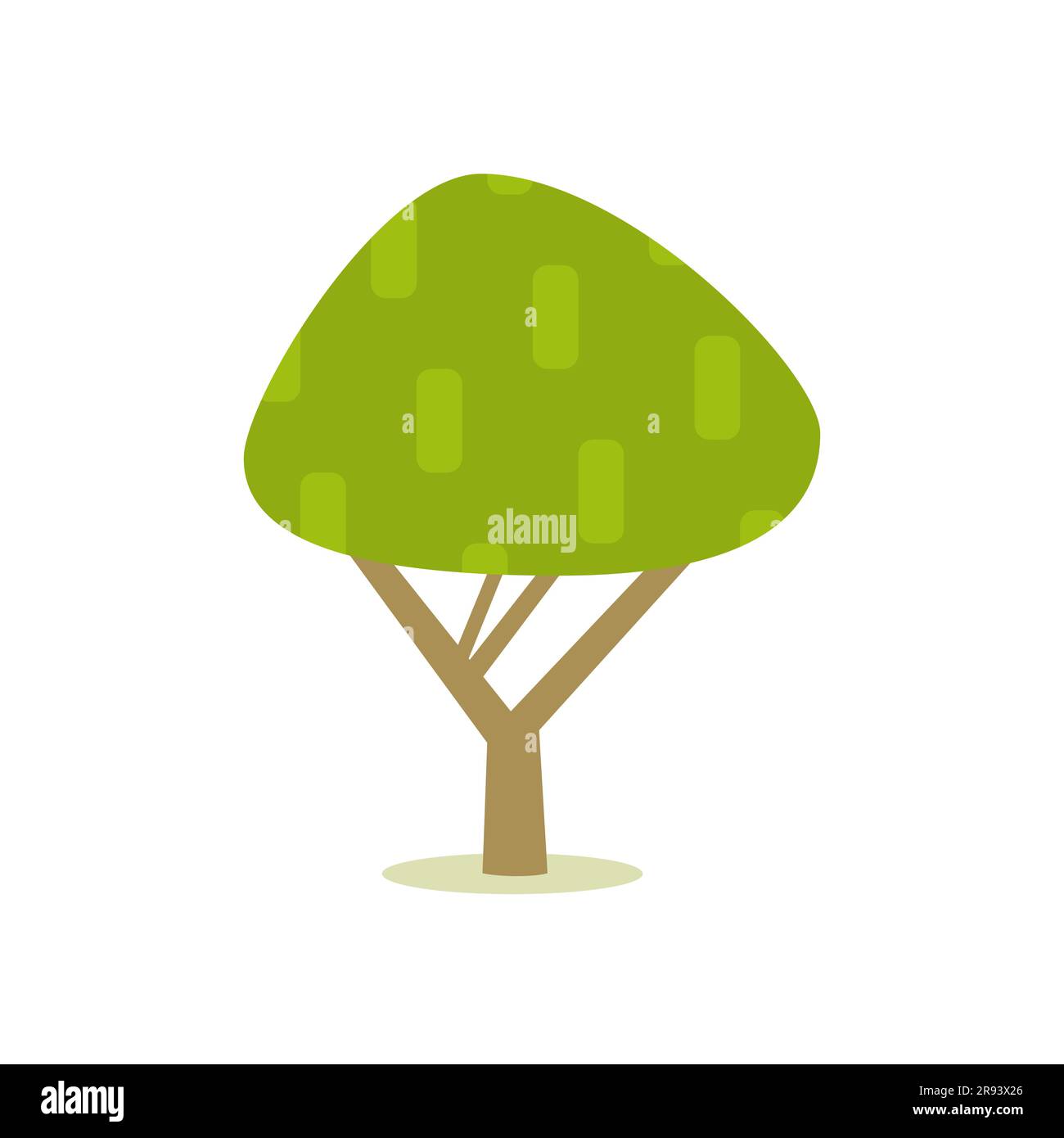 Maple tree with bearing triangle shape crown Stock Vector Image & Art ...