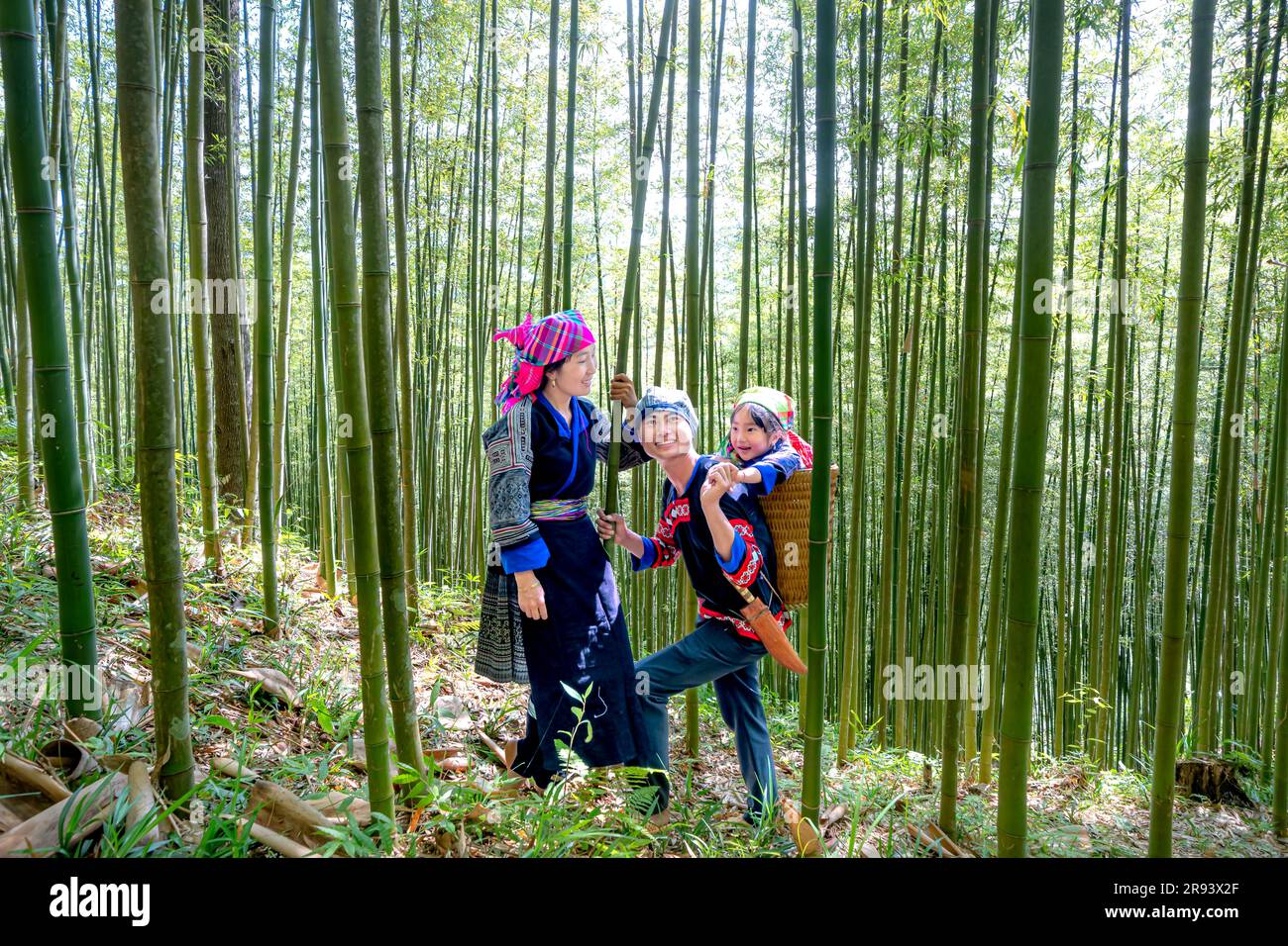 Tu le district hi-res stock photography and images - Alamy