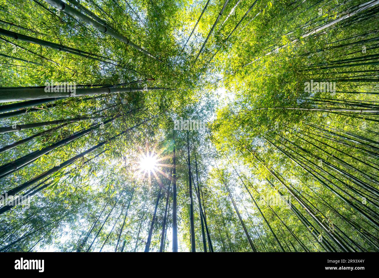 Climate chan hi-res stock photography and images - Alamy