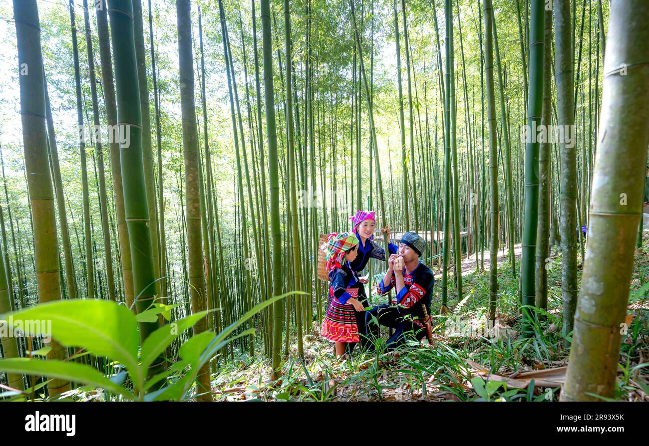 A young ethnic minority couple with their daughter rest in the bamboo ...