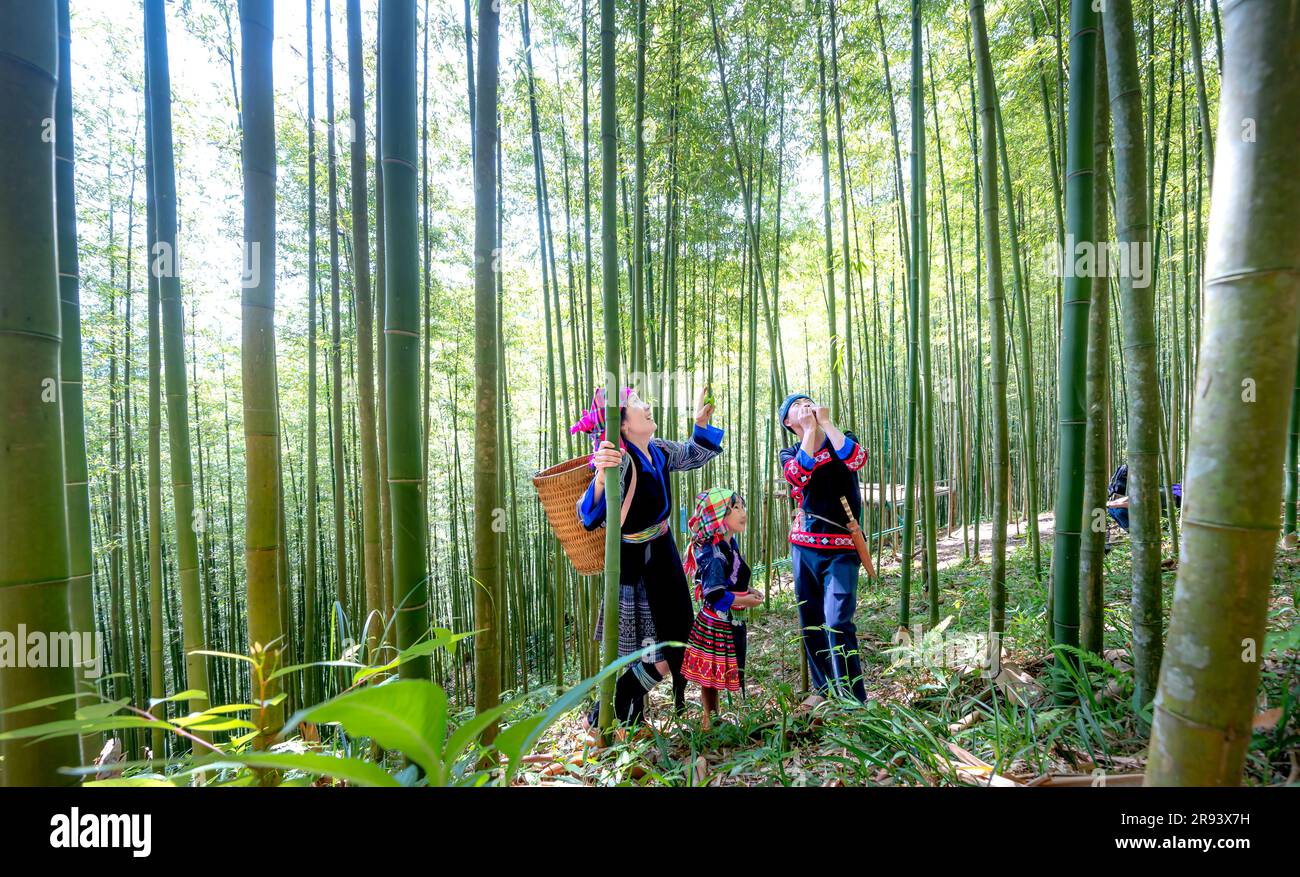 Tu le district hi-res stock photography and images - Alamy