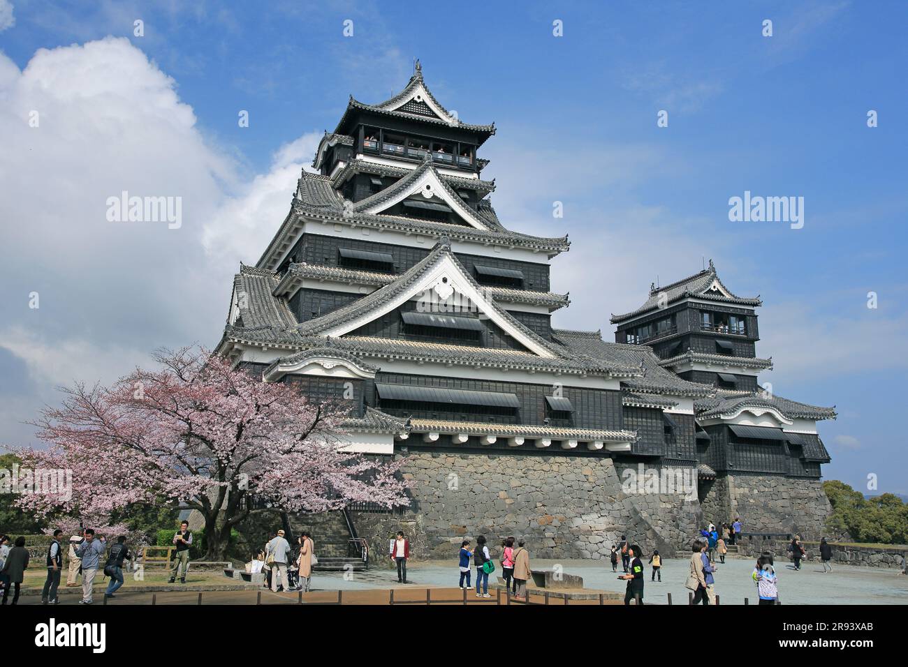 Kumamoto Castle and cherry blossoms Stock Photo - Alamy