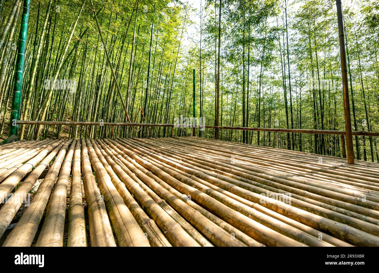 Bamboo flooring for tourists to rest in the bamboo forest at Tu Le ...